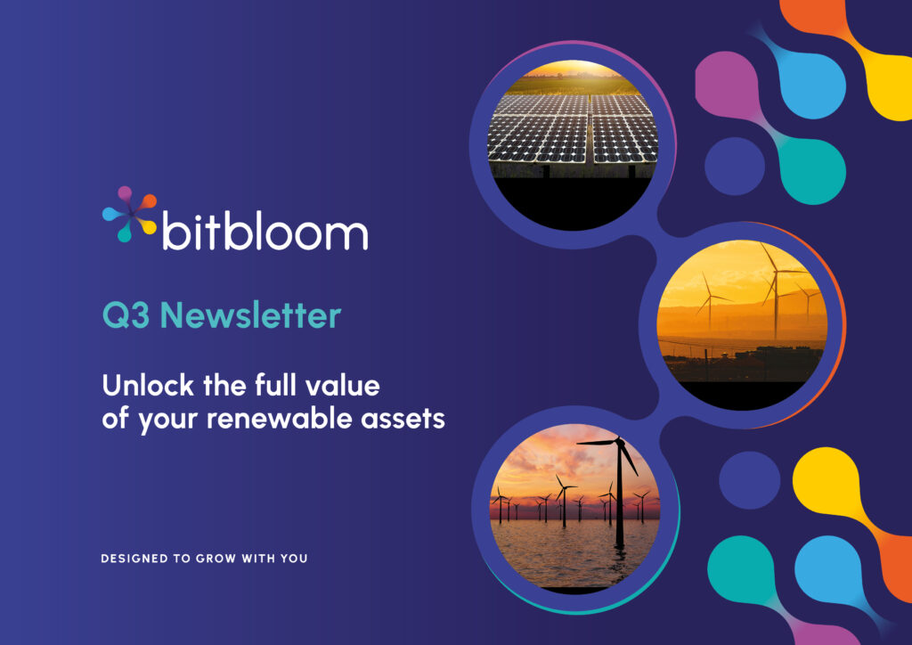 Bitbloom Q3 Newsletter - bitbloom